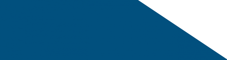 Home - Washington Media Institute
